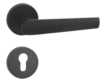 China Modern Single Type Door Handle Easy To Install On Any Door for sale