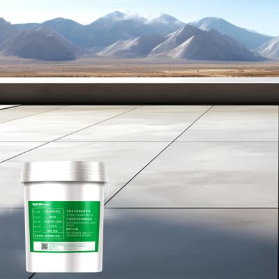 China Wall Strengthening Water Based Protective Finish Waterproof Cement Floor Paint for sale