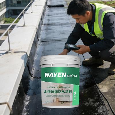 China Eco-friendly Self-brush Mildew Proof Water Based Paint for Waterproof Sealant and Roof Renovation for sale
