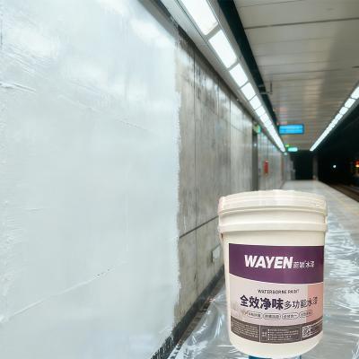 China WS-60 Thick Fire-Retardant Coating High Efficiency Fire Prevention Weather Resistance Durability Waterborne Paint for Building for sale