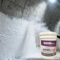 China WS-60 Thick Fire-Retardant Coating High Efficiency Fire Prevention Weather Resistance Durability Waterborne Paint for Building for sale