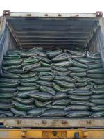 China Carbon Natural Flake Graphite Powder for Magnesite Carbon Brick in Chemical Industry for sale