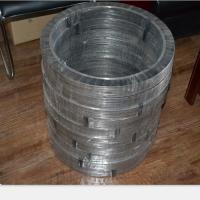 China Flexible Graphite and Metal Spiral Wound Gasket Customization for Advanced Technology for sale