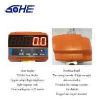 China OBM Customized Support 2T LED Display Hanging Scale Hook Scale for Industrial Needs for sale