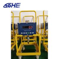 China DC10.5V/1000mA Power Supply Explosion-proof Hook Scale for Hazardous Environments for sale