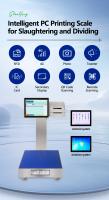 China Fully Waterproof Smart Scale 60KG Weighing with 304 Stainless Steel and Smart Screen for sale
