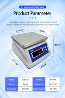 China AC/DC Power Supply SOHE A1S Waterproof Scale IP68 3KG with Stainless Steel Design for sale