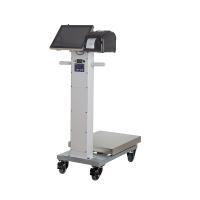 China 150kg Move Touch Screen Software Printing Function Smart PC Scale with LCD Display for sale