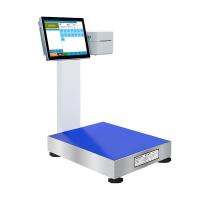 China 300KG Carbon Steel Medical Scale Industrial Weighing System for Pharmaceutical Industry for sale