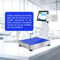 China 300KG Carbon Steel Medical Scale Industrial Weighing System for Pharmaceutical Industry for sale
