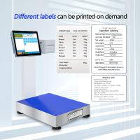 China 300KG Carbon Steel Medical Scale Industrial Weighing System for Pharmaceutical Industry for sale