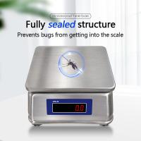China SOHE S5 3KG Stainless Steel Scale with Dual LED Display and IP68 Waterproof Rating for sale