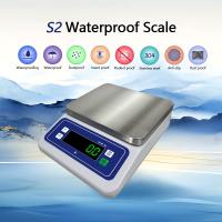 China Product Idea 2024 304 Stainless Steel Balance Scale 6KG Maximum Range Unit lb oz g for sale
