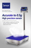 China LED Display 300kg SOHE A1S Waterproof Scale for Food Factories 500*600mm Washable for sale