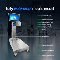 China 400*500mm Industrial Scale with 200kg Weight Capacity and Stainless Steel Platform for sale