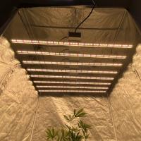 China Full Spectrum SMD2835 LED Grow Light Module 720W Plant Grow Light Bar for sale