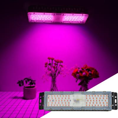 China Full Spectrum AC220V LED Grow Light Module 30W 50W IP67 Waterproof for sale