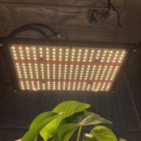 China UV IR 660nm Red Horticulture LED Module Lm301h Kingbrite Quantum Board for sale