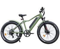 China 48V 13Ah 500W Electric Fat Bike 26x4.0 Beach Ebike with 750W Optional Motor for sale