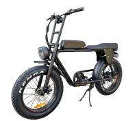 China 48V 13Ah Electric Bike 500W Motor Aluminum Alloy Frame 20x4.0 Fat Tire for sale