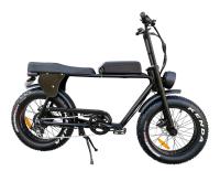 China 48V 13Ah Electric Bike 500W Motor Aluminum Alloy Frame 20x4.0 Fat Tire for sale