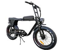 China 48V 13Ah Electric Bike 500W Motor Aluminum Alloy Frame 20x4.0 Fat Tire for sale