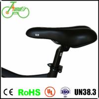 China 700C 28 Inch Electric Mountain Bike 250W 36V Li-ion Battery Front Rear Disc Brake for sale