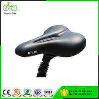 China Aluminum Alloy Frame 36V 250W Electric Mountain Bike with 8Fun Motor and 26 Inch Wheels for sale