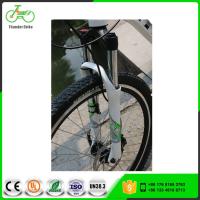 China Aluminum Alloy Frame 36V 250W Electric Mountain Bike with 8Fun Motor and 26 Inch Wheels for sale