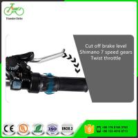 China 21 Speed Foldable E Bicycle 48V 15AH Lithium Battery With Carbon Steel Frame for sale