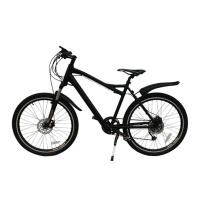 China Blue 21 Speed Electric Bike 36V 250W Hidden Battery Italian Design for sale