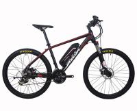China 26 Inch 250W 350W Electric Mountain Bike 48V 10Ah Lithium Battery 24 Speed Gears for sale