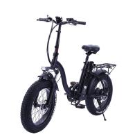 China Foldable 20 Inch Electric Bike 500W Pedal Assist Aluminum Alloy Frame 48V 15Ah Battery for sale