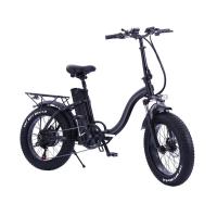 China Foldable 20 Inch Electric Bike 500W Pedal Assist Aluminum Alloy Frame 48V 15Ah Battery for sale