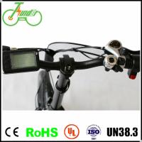 China 20 Inch Folding Electric Bike 36V 250W Pedal Assist Bicycle with LCD Display for sale