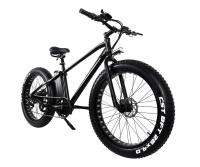 China 48V 500W 26 Inch Fat Tyre Electric Sport Bike with LCD Display and Disc Brake for sale