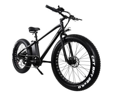 China 48V 500W 26 Inch Fat Tyre Electric Sport Bike with LCD Display and Disc Brake for sale