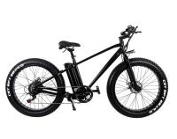China 48V 500W 26 Inch Fat Tyre Electric Sport Bike with LCD Display and Disc Brake for sale