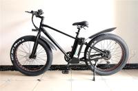 China 48V 500W 26 Inch Fat Tyre Electric Sport Bike with LCD Display and Disc Brake for sale