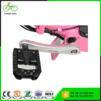 China Aluminum Alloy Frame 20 Inch Female Folding Electric Bicycle 6 Speed 250W 36V for sale