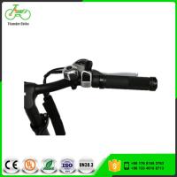 China Aluminum Alloy Frame 20 Inch Female Folding Electric Bicycle 6 Speed 250W 36V for sale