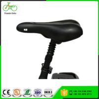 China Aluminum Alloy Frame 20 Inch Female Folding Electric Bicycle 6 Speed 250W 36V for sale