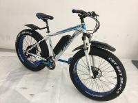 China 48V Lithium Battery 26x4.0 Fat Tyre Electric Bike 250W Motor Power Optional for sale