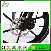 China 20 Inch Electric Folding Bike 36V 250W Portable E Bike with LCD Display and Shimano Gears for sale