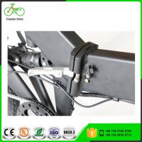 China 20 Inch Electric Folding Bike 36V 250W Portable E Bike with LCD Display and Shimano Gears for sale