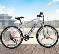 China 48V 250W 350W Electric Bicycle 26 Inch Hub Motor Magnesium Alloy Hidden Battery Ebike for sale