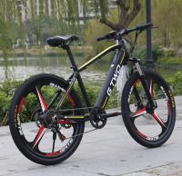 China 48V 250W 350W Electric Bicycle 26 Inch Hub Motor Magnesium Alloy Hidden Battery Ebike for sale