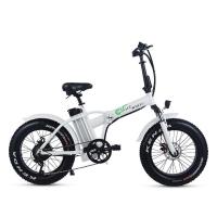 China 500W Motor Fat Electric Bike Foldable 48V 15AH Lithium Battery 20 Inch Wheel for sale