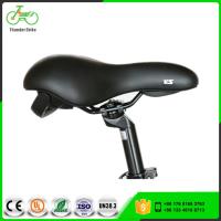 China 36V 250W Brushless Motor Electric Bike with Shaft Drive and 27.5 Inch Tires for sale