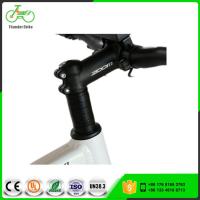 China 36V 250W Brushless Motor Electric Bike with Shaft Drive and 27.5 Inch Tires for sale